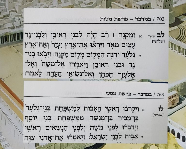 Invest in Forever – Mattos-Mas’ei – L’Refuah Shileimah: Menachem Mendel ...